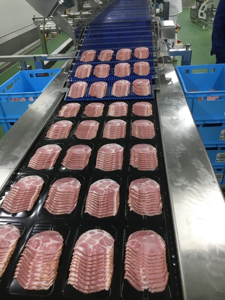 Best Bacon and Rib System on Earth - Earthworm Express