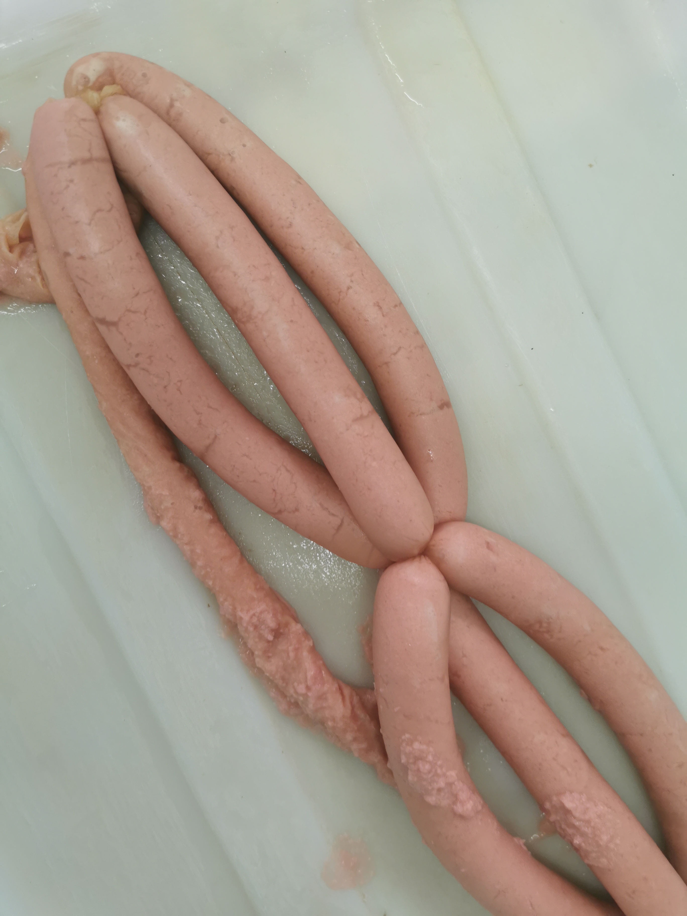 Ode to the Russian Sausage – a Technical Evaluation | Earthworm Express