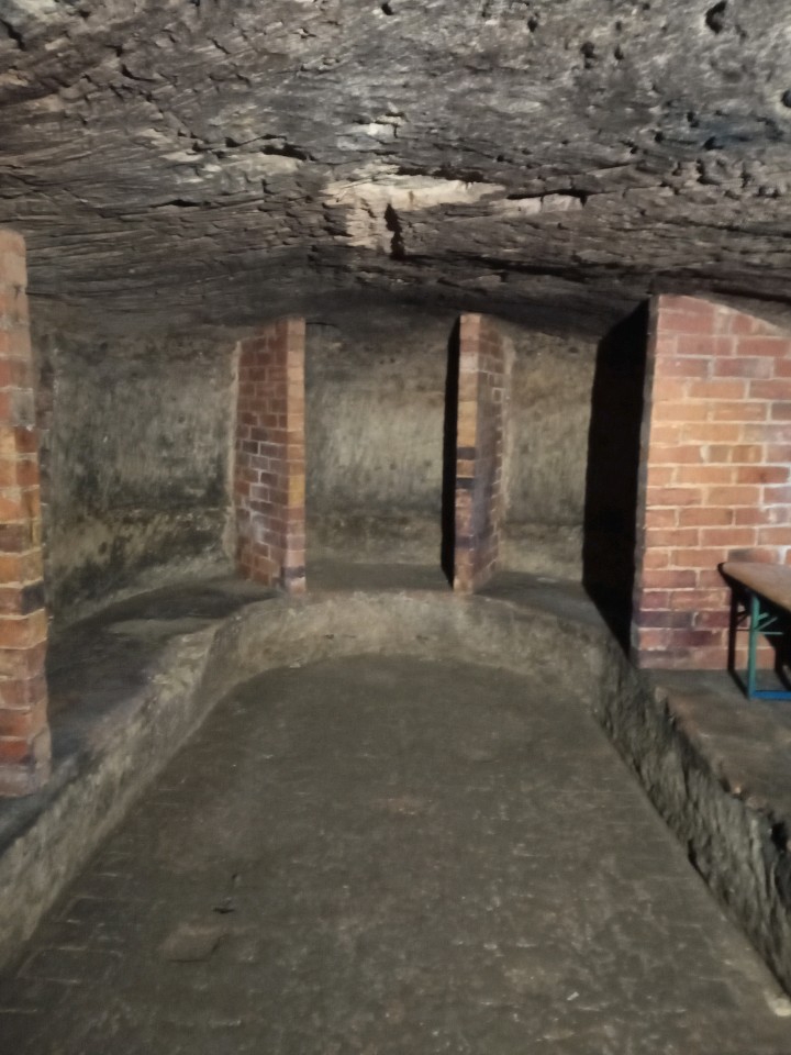 Cave Cured Hams - Earthworm Express