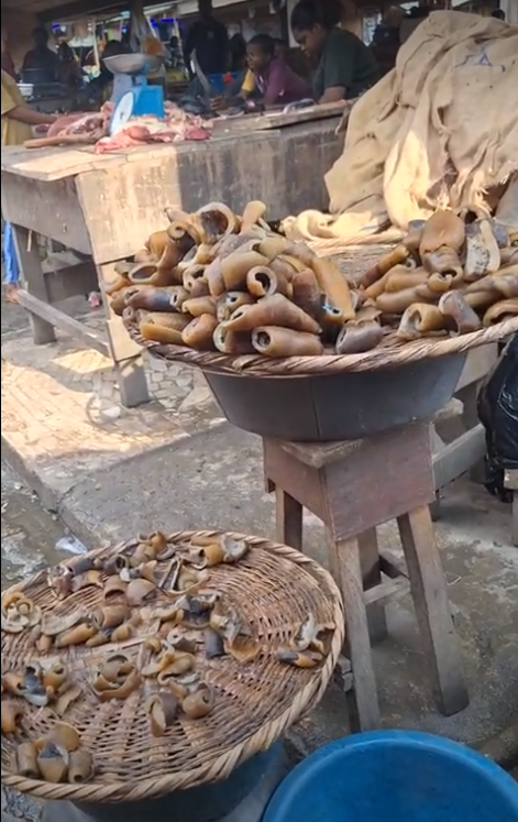 Value of Pomo (Beef Skin) in Nigerian Cuisine and a Novel Strategy To ...