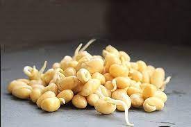 Enhancing Nutritional Value of Soybeans: Germination, Sprout Removal ...